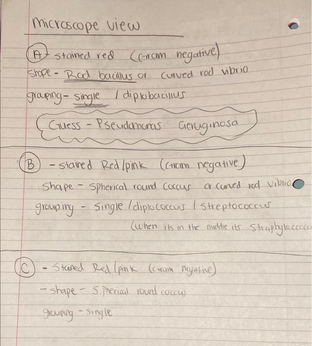 Sab-dex plate mo unknown A - lots or growth - rased - | Chegg.com