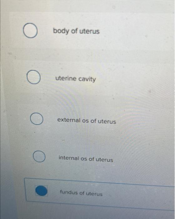 Solved Which structure is highlighted? body of uterus | Chegg.com