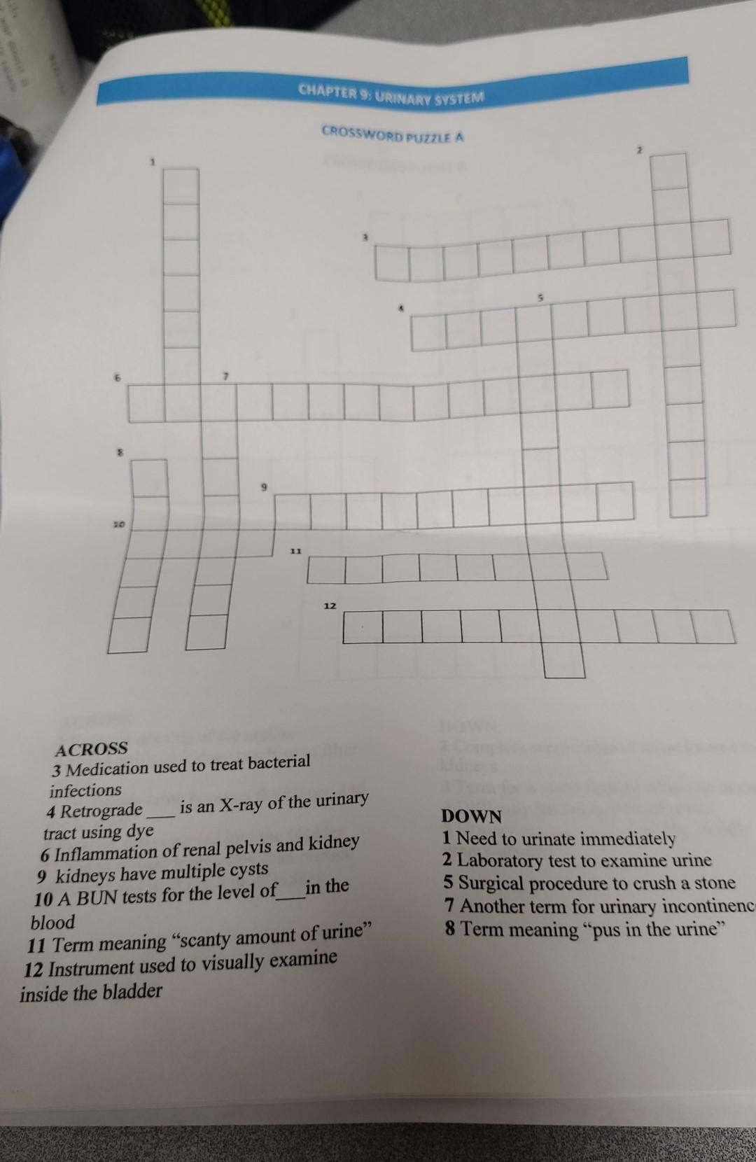 Solved CHAPTER 9: URINARY SYSTEM CROSSWORD PUTTLE A 7 9 11 | Chegg.com