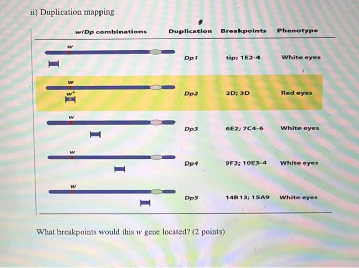 Solved ii) Duplication mapping What breakpoints would this w | Chegg.com