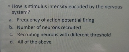 Solved How is stimulus intensity encoded by the nervous | Chegg.com