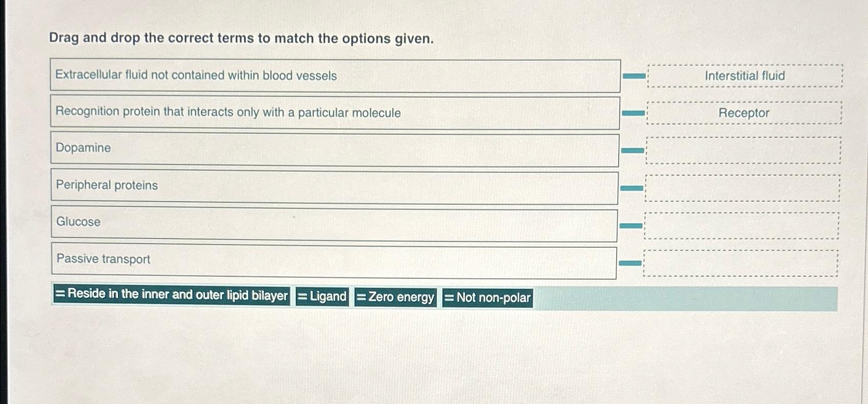Solved Drag and drop the correct terms to match the options | Chegg.com
