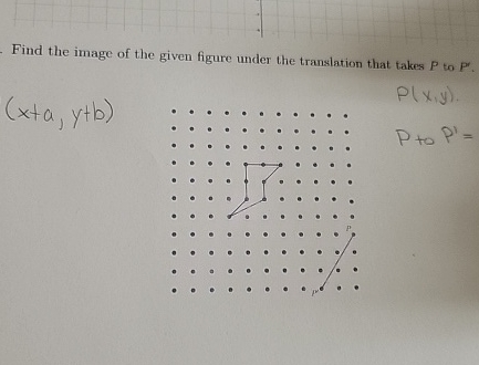 Solved Find the image of the given figure under the | Chegg.com