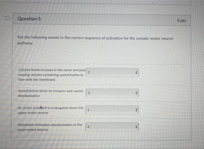 Solved Put the following events in the correct sequence of | Chegg.com