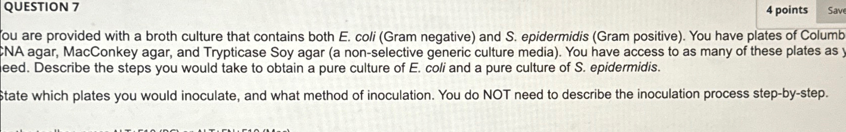 Solved QUESTION 74 ﻿pointsou are provided with a broth | Chegg.com