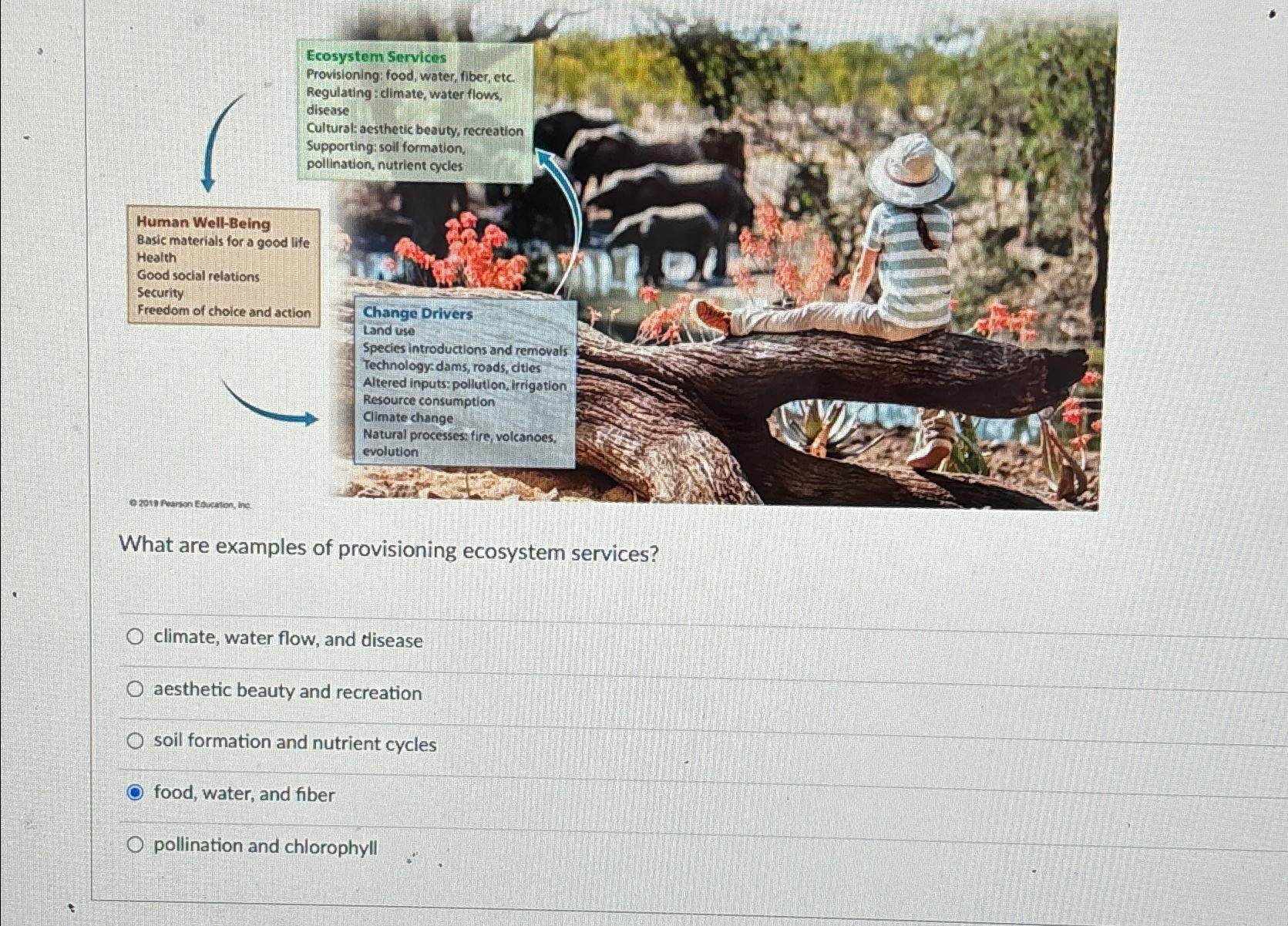Solved What are examples of provisioning ecosystem | Chegg.com
