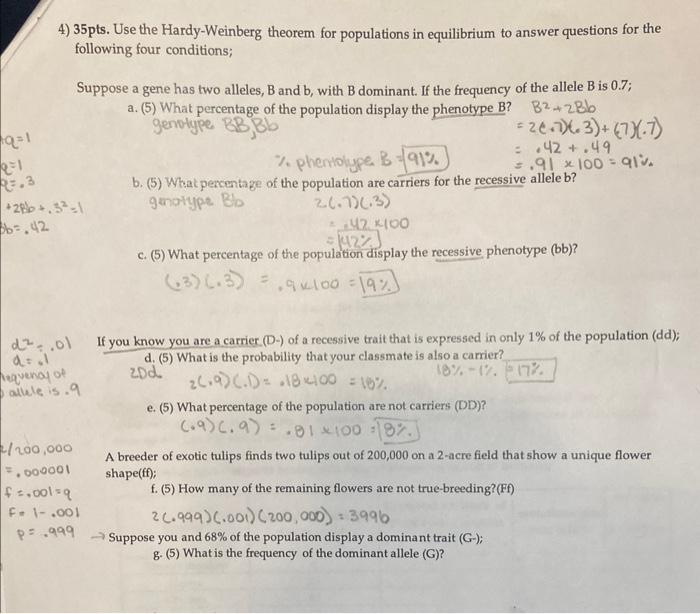Solved 4) 35pts. Use the Hardy-Weinberg theorem for | Chegg.com