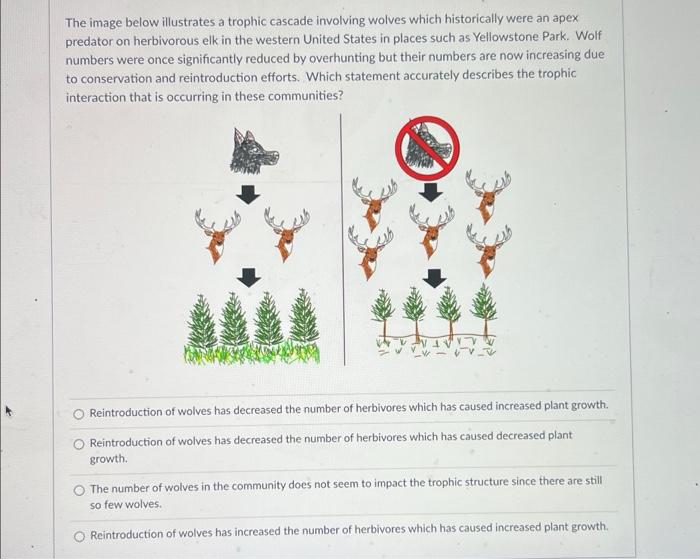 The image below illustrates a trophic cascade | Chegg.com