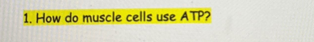 Solved How do muscle cells use ATP? | Chegg.com
