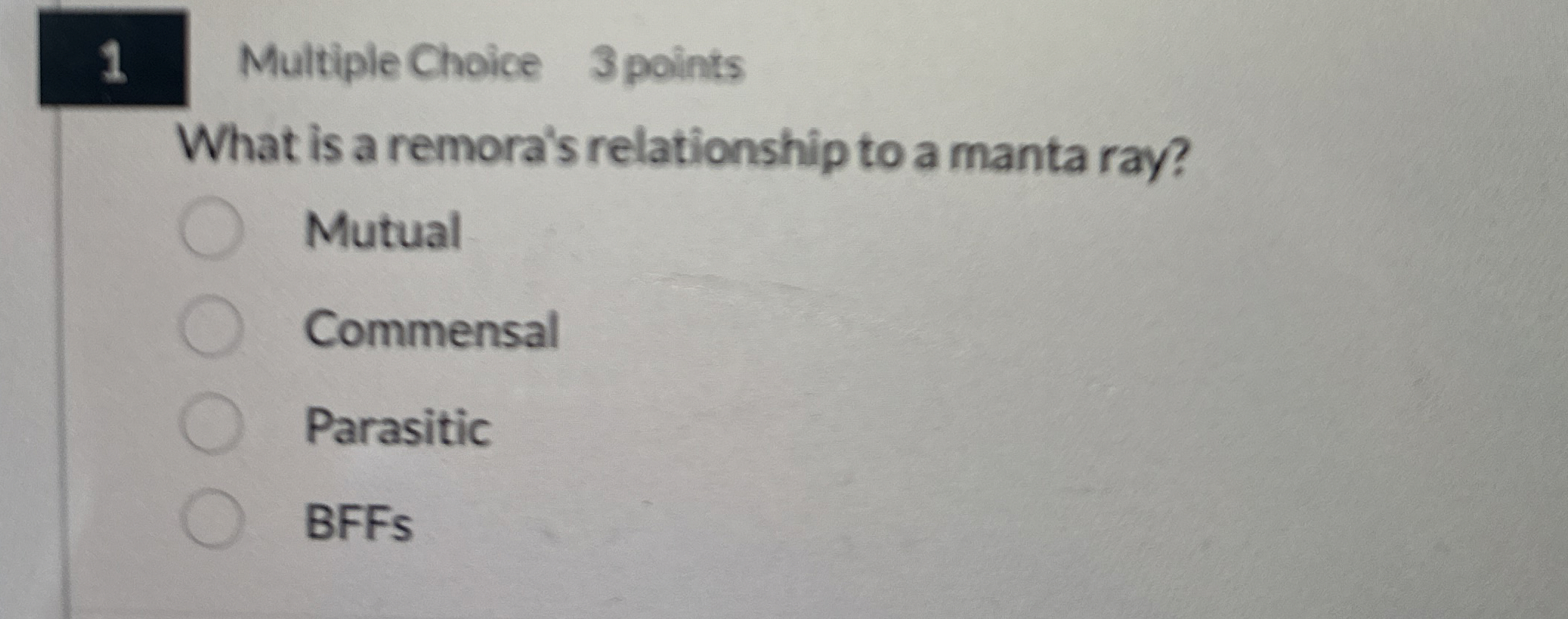 Solved 1Multiple Choice3 ﻿pointsWhat is a remora's | Chegg.com