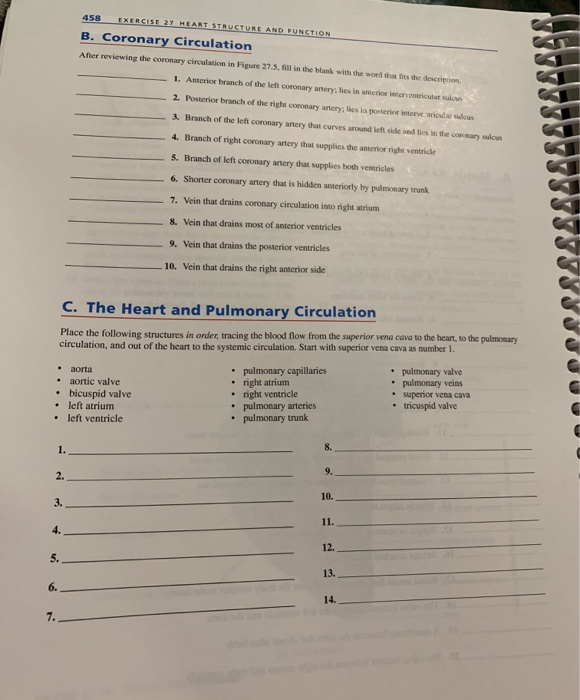 Solved Date Section Reviewing Your Knowiedge A. Major Heart | Chegg.com