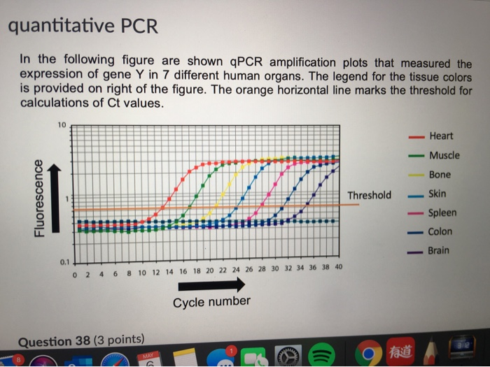 quantitative PCR In the following figure are shown | Chegg.com