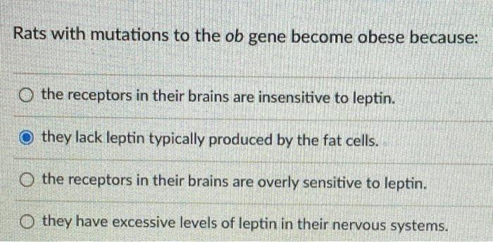 Solved Rats with mutations to the ob gene become obese | Chegg.com