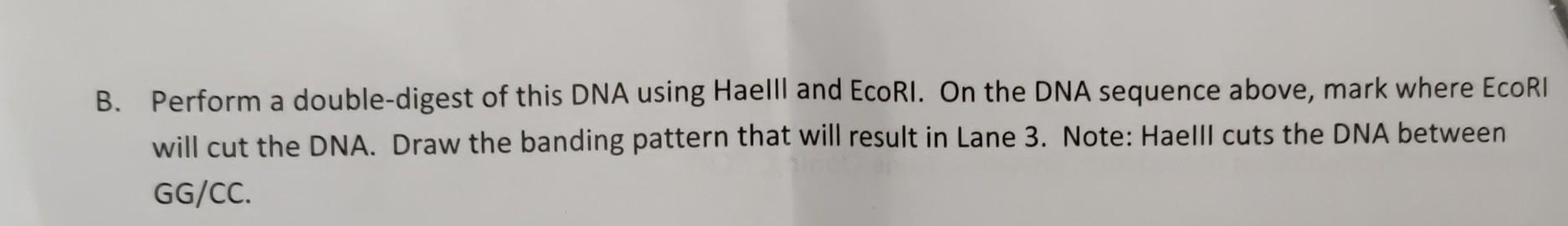 2. What direction is the DNA moving through the gel? | Chegg.com