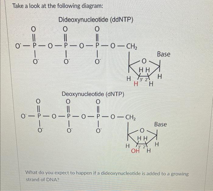 Solved Take a look at the following diagram: | Chegg.com