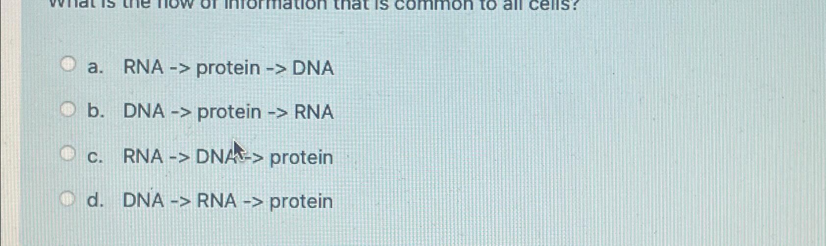 Solved a. ﻿RNA → ﻿protein → ﻿DNAb. ﻿DNA → ﻿protein → ﻿RNAc. | Chegg.com