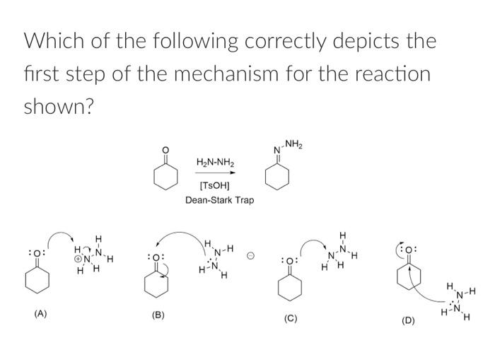 Solved Which of the following correctly depicts the first | Chegg.com