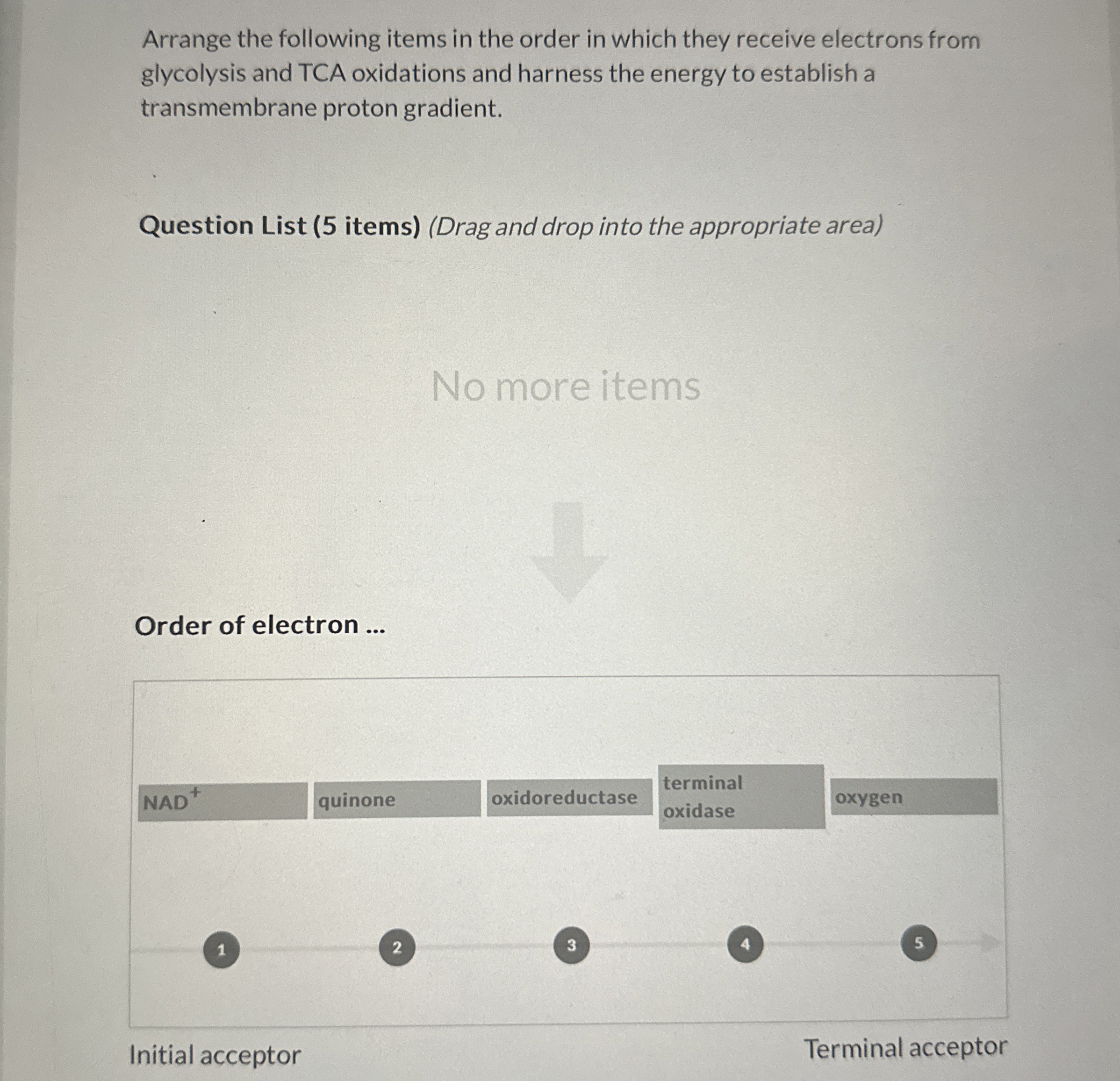 Solved Arrange the following items in the order in which | Chegg.com