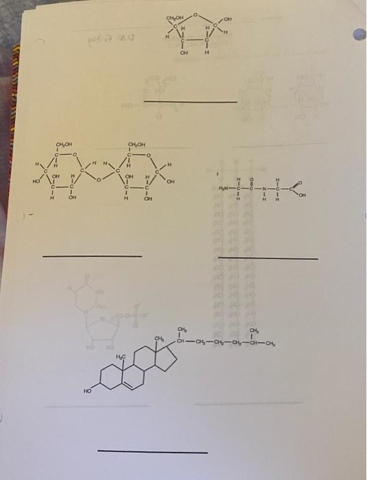 Solved Identify each of the following structures or | Chegg.com
