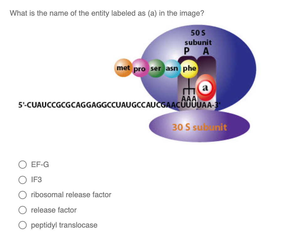 Solved What is the name of the entity labeled as (a) ﻿in the | Chegg.com