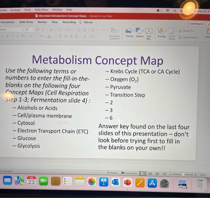 Solved Metabolism Concept Map Use the following terms or - | Chegg.com