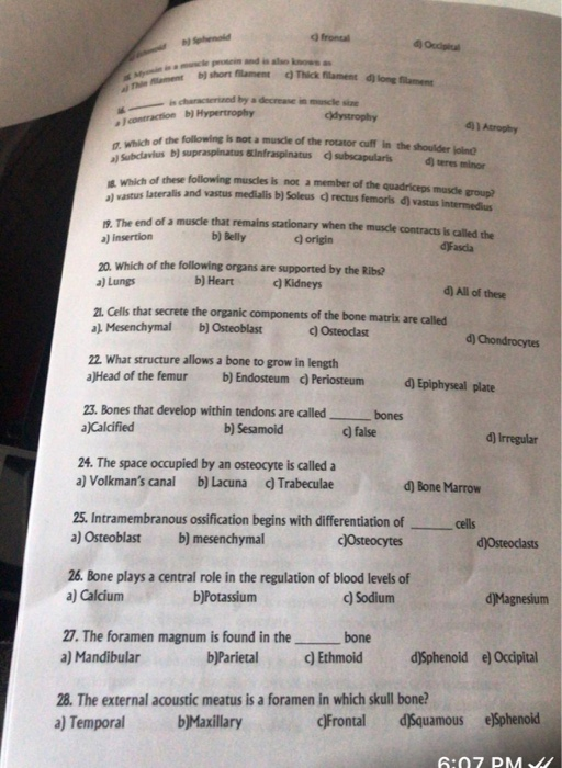 Solved dfronal 4Occpial phld .mcle prosein and is alo knows | Chegg.com