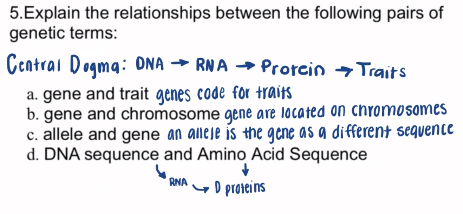 Solved 5.Explain the relationships between the following | Chegg.com