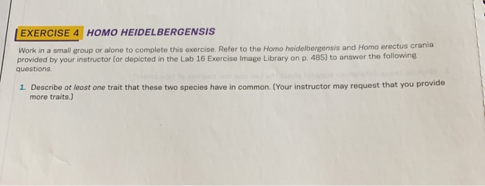 Solved EXERCISE 4 HOMO HEIDELBERGENSIS Work in a small group | Chegg.com