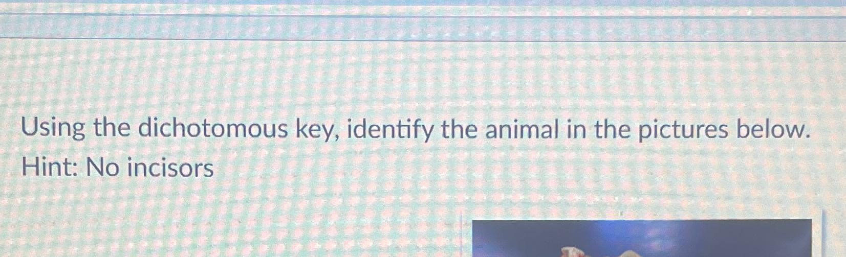 Solved Using the dichotomous key, identify the animal in the | Chegg.com
