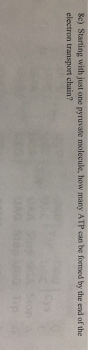 Solved 8c) Starting with just one pyruvate molecule, how | Chegg.com