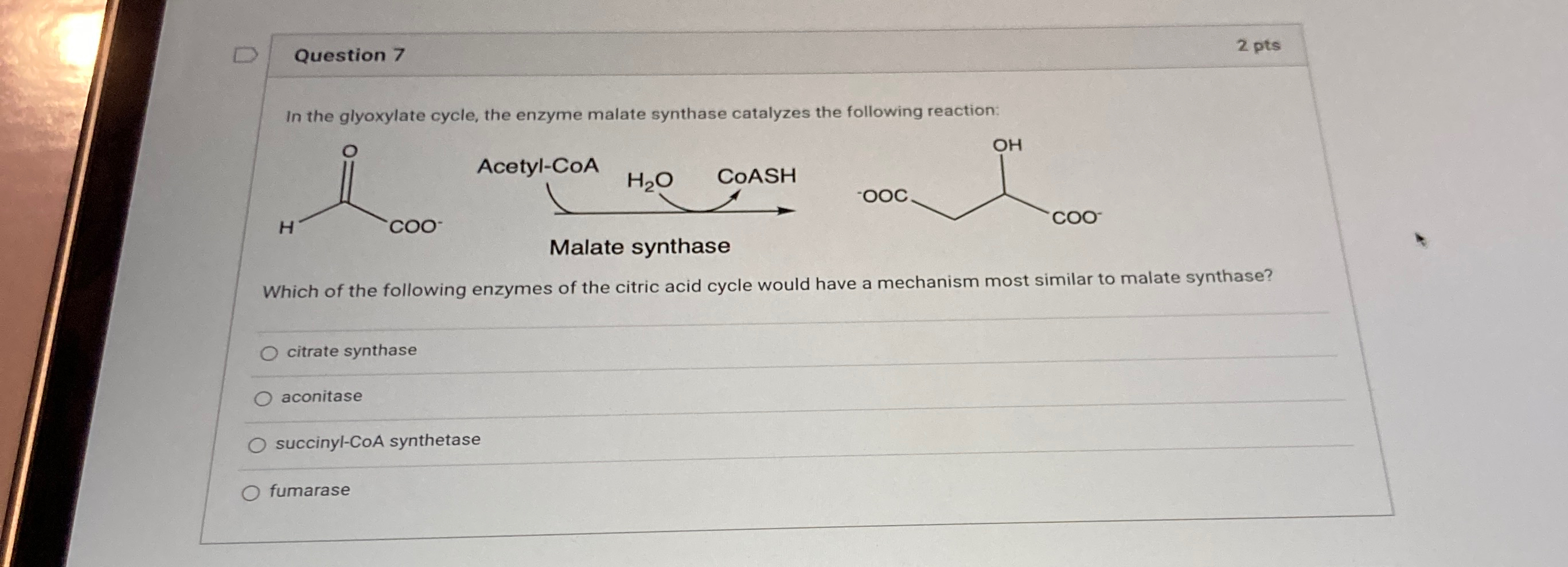 Solved Question 72 ﻿ptsIn the glyoxylate cycle, the enzyme | Chegg.com