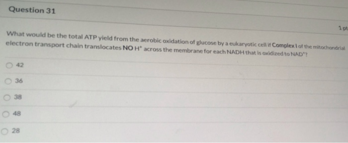 Solved Question 31 lp What would be the total ATP yield from | Chegg.com