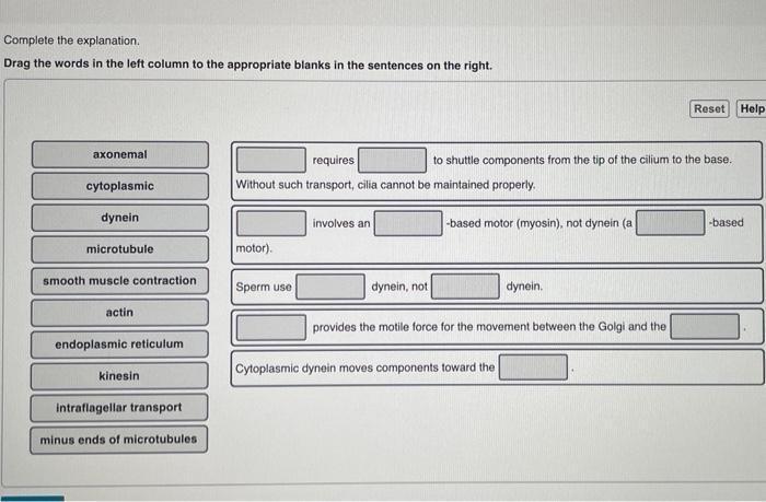 Complete the explanation. Drag the words in the left | Chegg.com