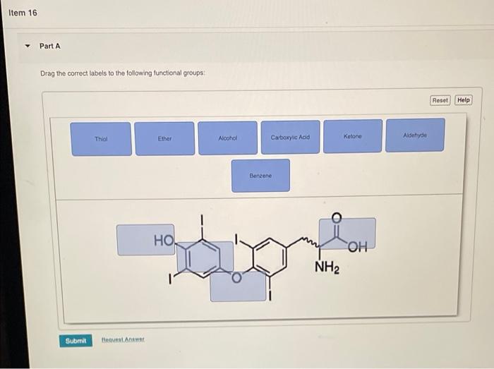 Solved Item 16 Part A Drag the correct labels to the | Chegg.com