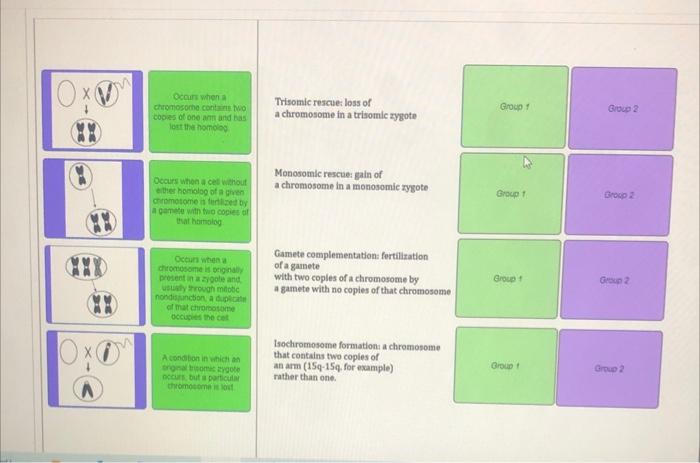 Solved 10 Occurs when Chromosome conto copies of one and has | Chegg.com