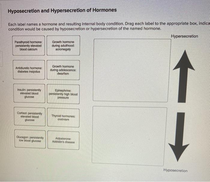Solved Hyposecretion and Hypersecretion of Hormones Each | Chegg.com