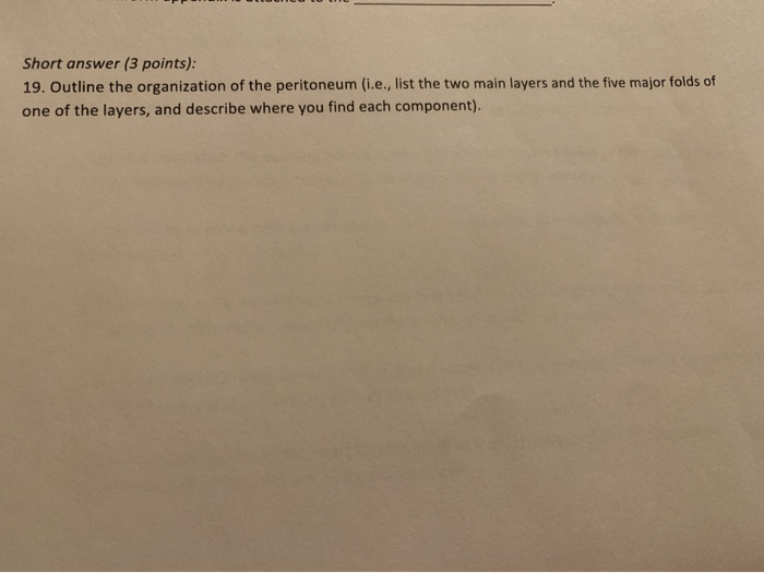 Solved Short answer (3 points): 19. Outline the organization | Chegg.com
