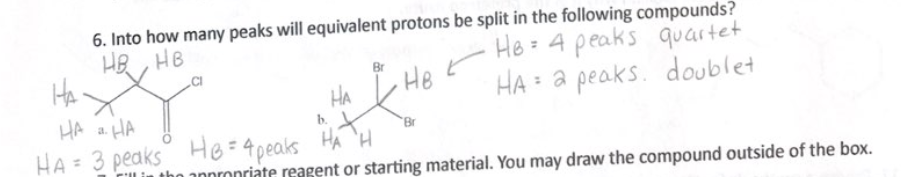 Solved explainInto how many peaks will equivalent protons be | Chegg.com