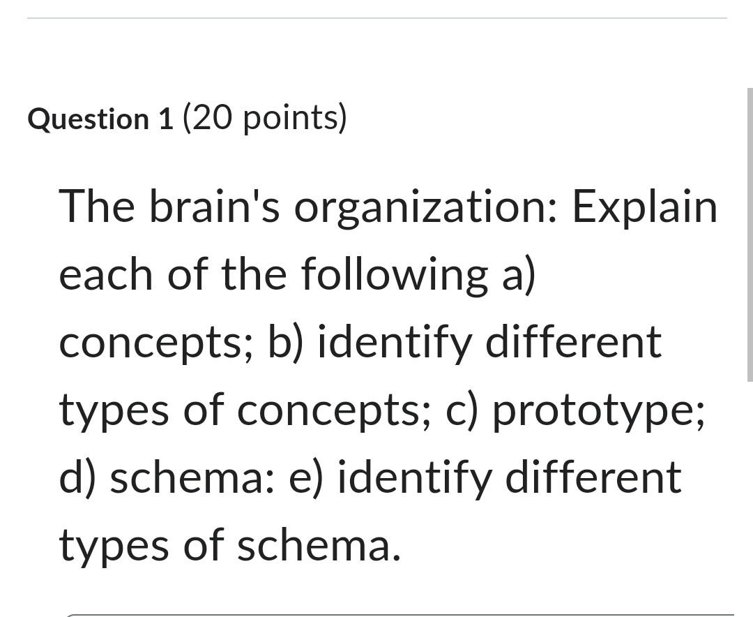 Solved The brain's organization: Explain each of the | Chegg.com