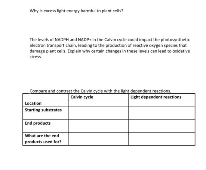 Solved How is a proton gradient generated across the | Chegg.com