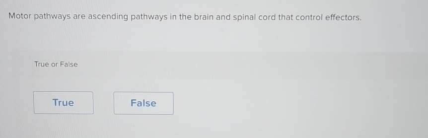 Solved Motor pathways are ascending pathways in the brain | Chegg.com