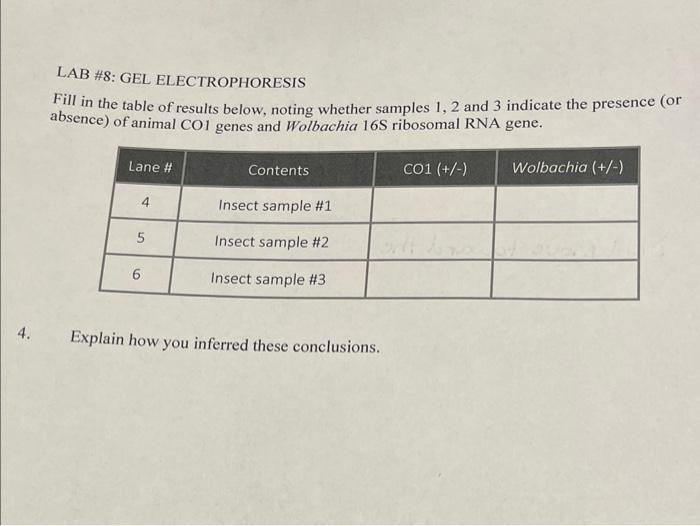 Solved Pre-Lab Questions (due at start of lab) Read through | Chegg.com Solved Pre-Lab Questions (due at start of lab) Read through | Chegg.com