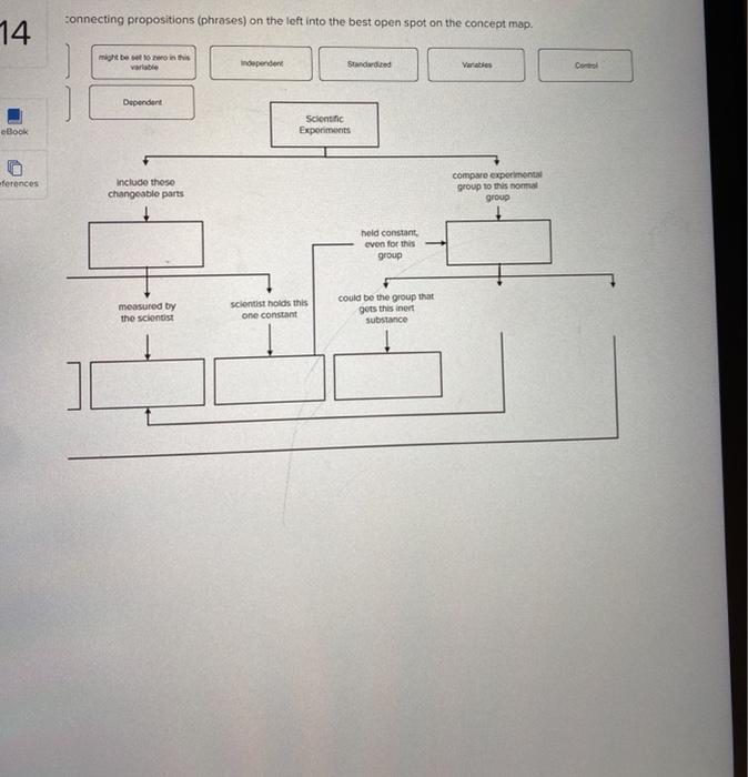 Place the terms or connecting propositions phrases) | Chegg.com