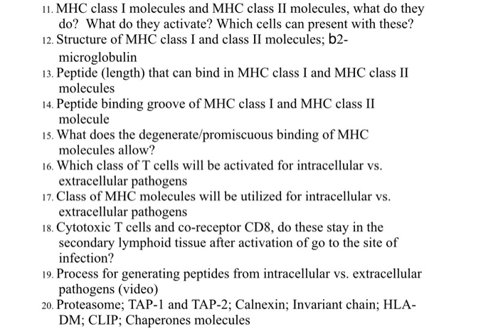 Solved 11. MHC class I molecules and MHC class II molecules, | Chegg.com