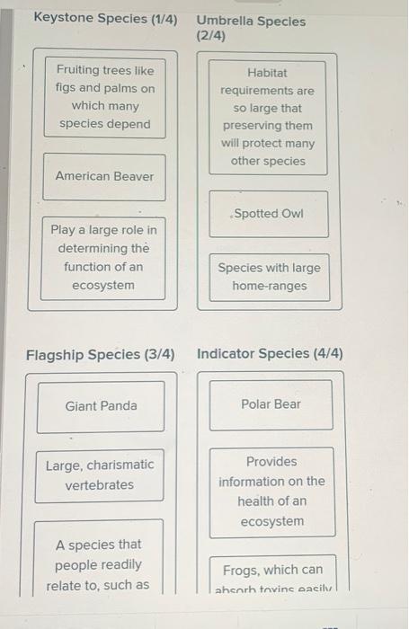 Solved Keystone Species (1/4) Umbrella Species (2/4) | Chegg.com