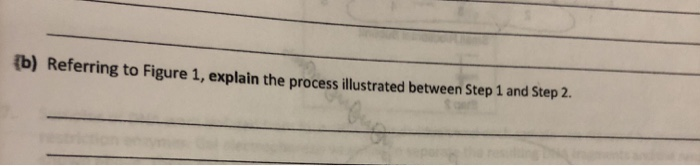 Solved (b) Referring to Figure 1, explain the process | Chegg.com