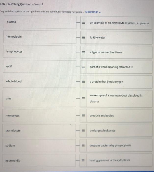 Solved Lab 1: Matching Question - Group 2 Drag and drop | Chegg.com