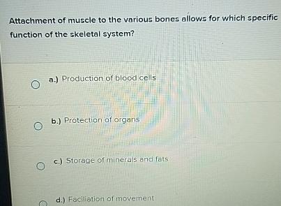 Solved Attachment of muscle to the various bones allows for | Chegg.com