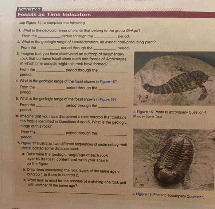 ACTIVITY 7 Fossils as Time Indicators Use Figure 14 | Chegg.com