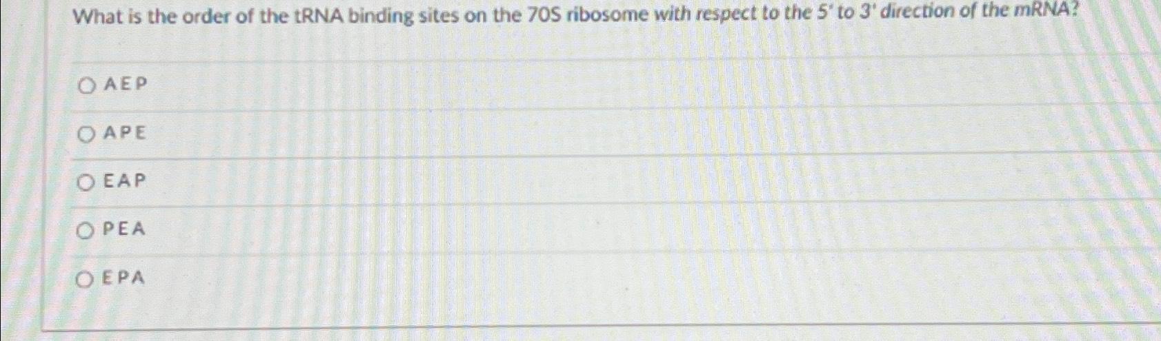 Solved What is the order of the tRNA binding sites on the 70 | Chegg.com